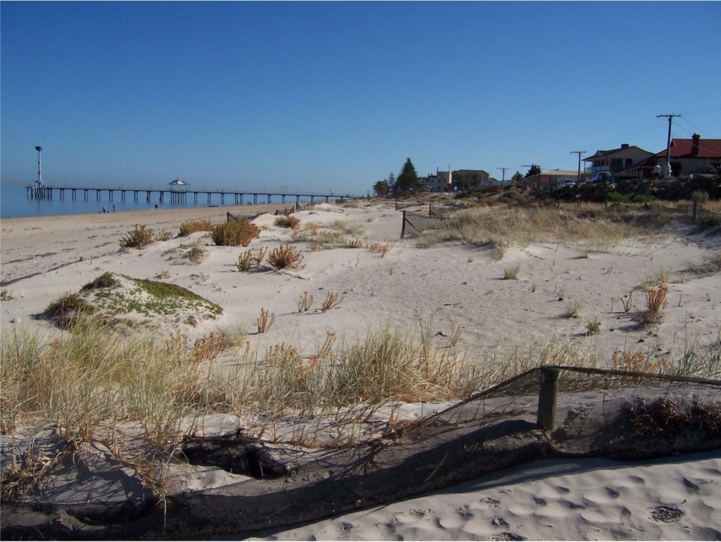 Holdfast Bay, SA - Living Shorelines Australia