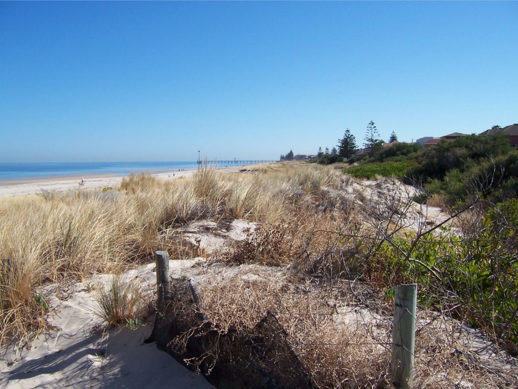 Holdfast Bay, SA - Living Shorelines Australia