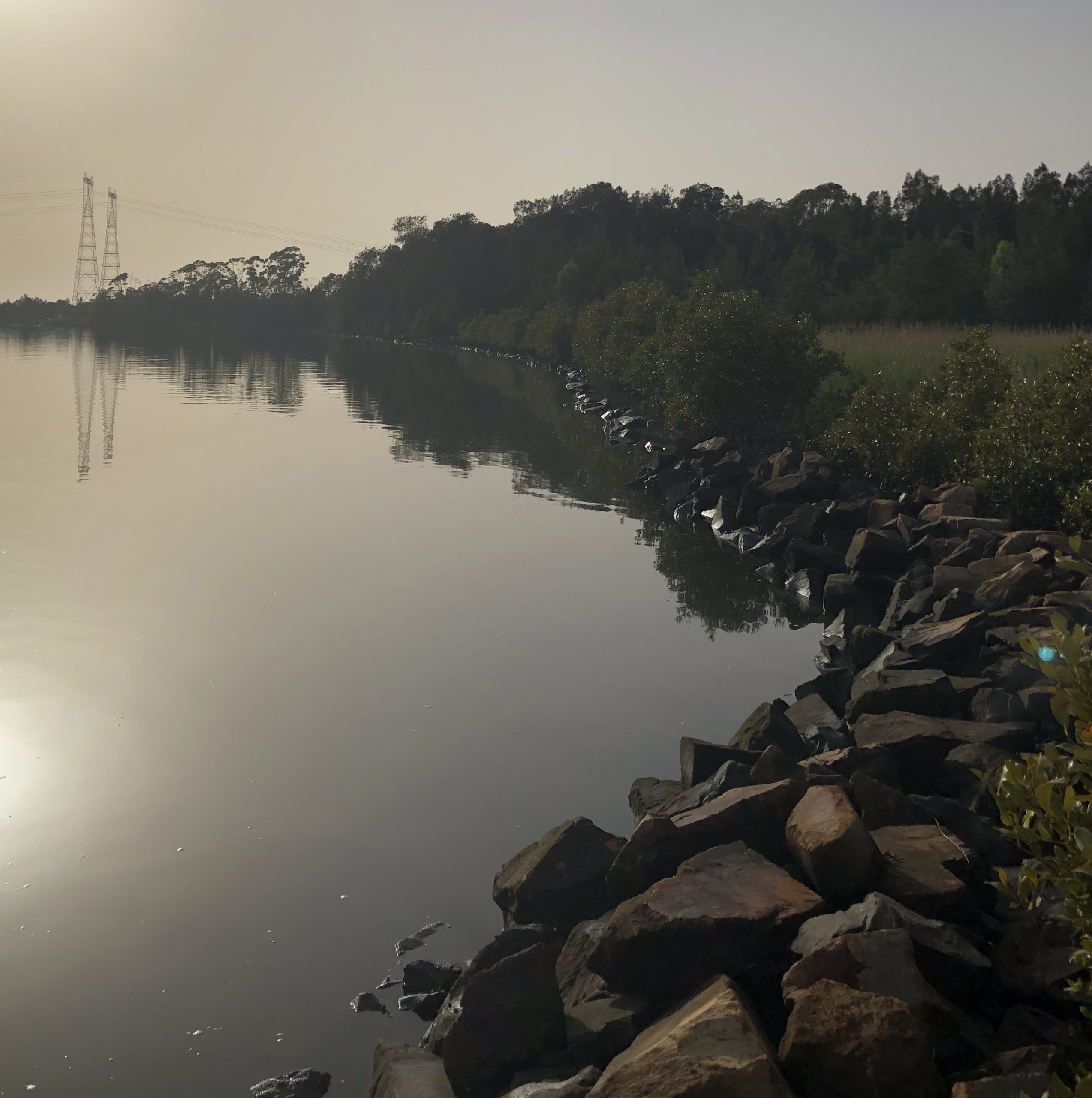 Scott’s Point, NSW - Living Shorelines Australia