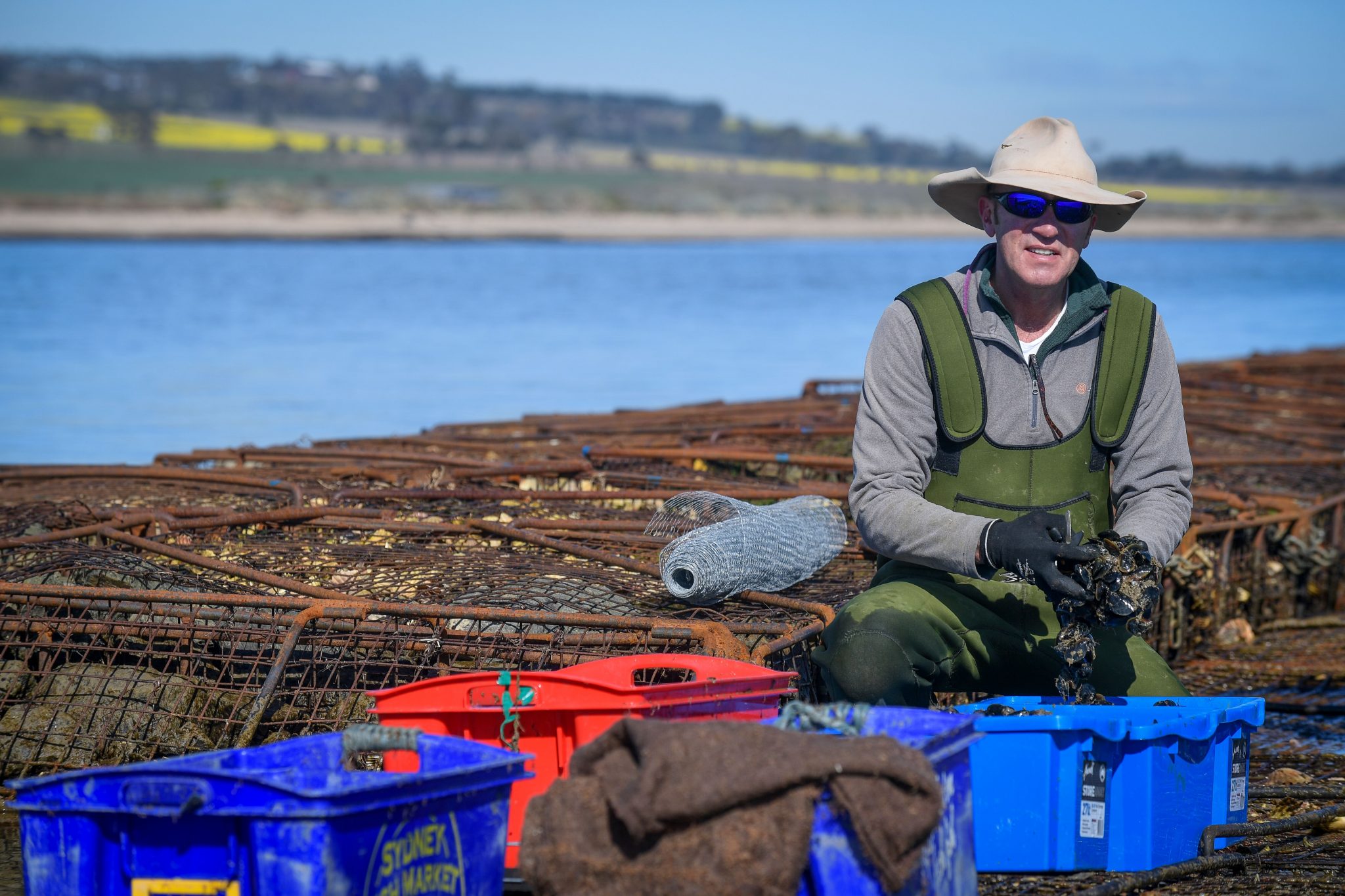 Ramblers Road Shellfish Reef, VIC - Living Shorelines Australia