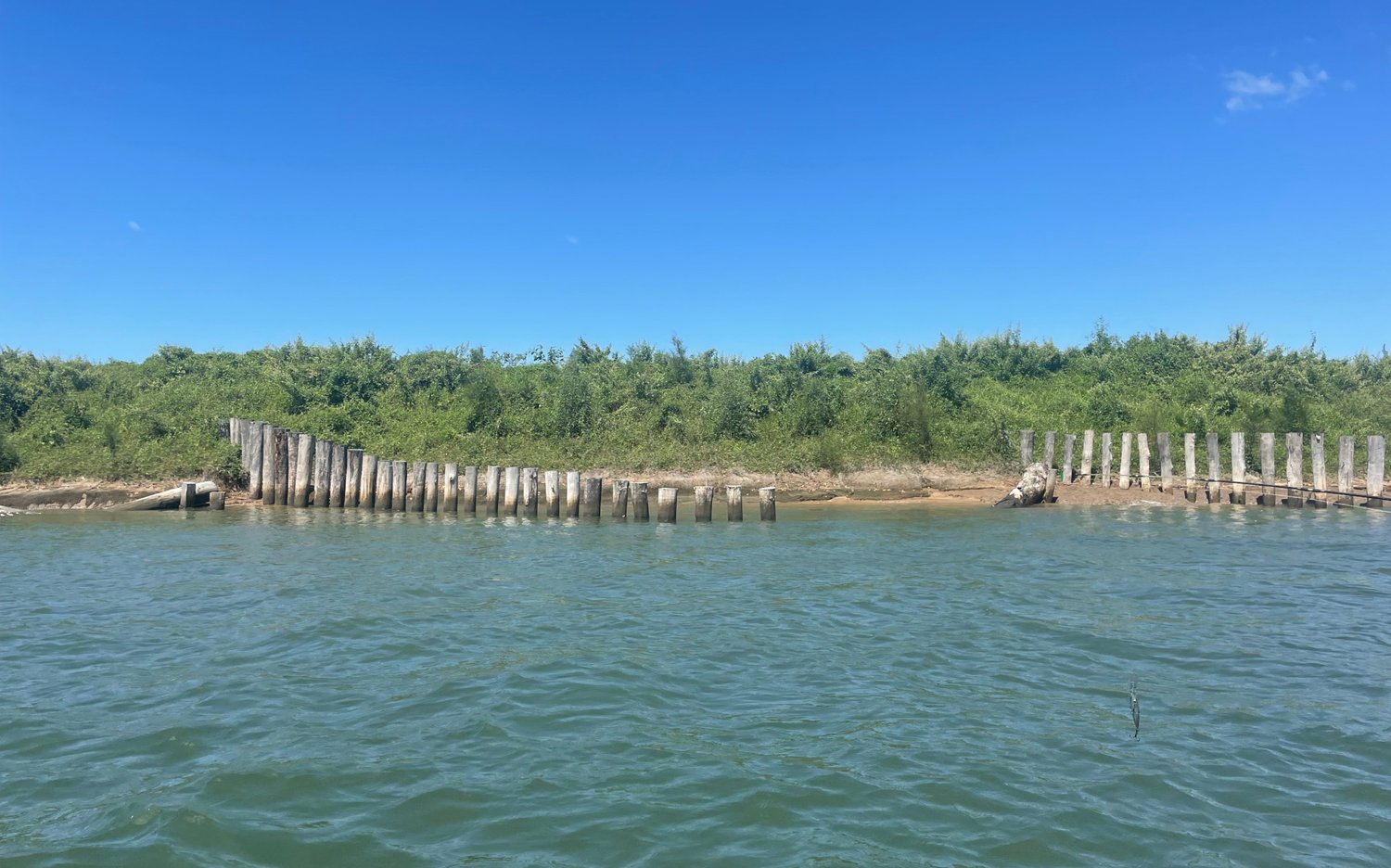 Kolan River, QLD - Living Shorelines Australia