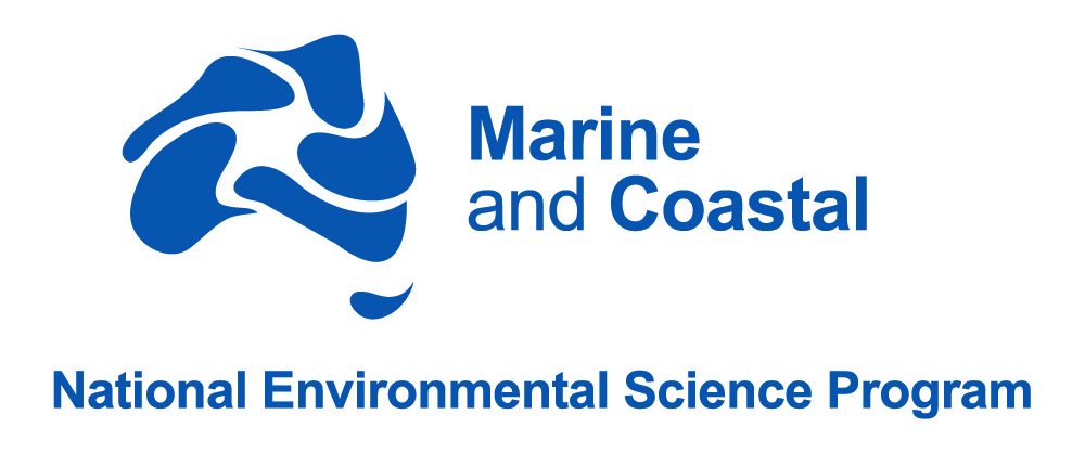 Kirra Beach Dune Revegetation, QLD - Living Shorelines Australia