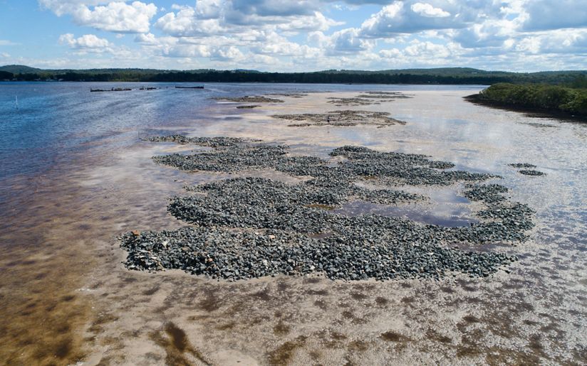 Port Stephens shellfish reef trial, NSW - Living Shorelines Australia