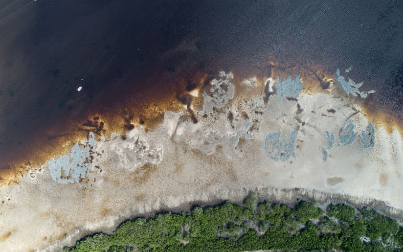 Port Stephens shellfish reef trial, NSW - Living Shorelines Australia