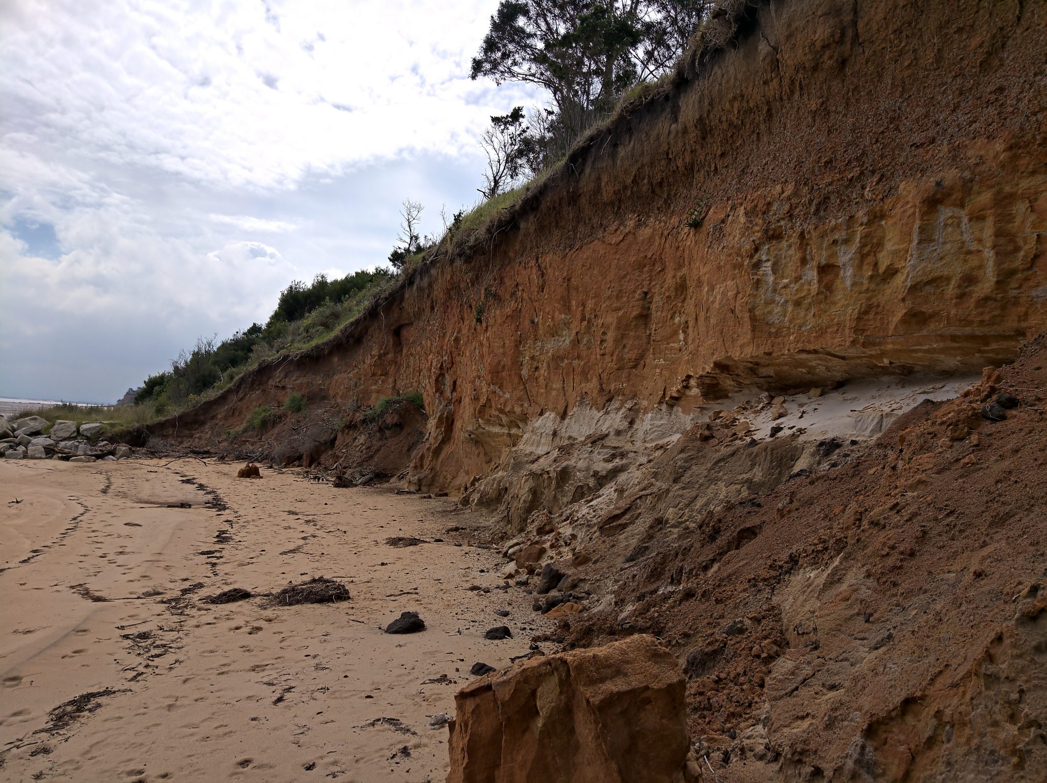 Living Shorelines - Living Shorelines Australia