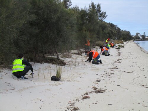 Milyu Nature Reserve, WA - Living Shorelines Australia