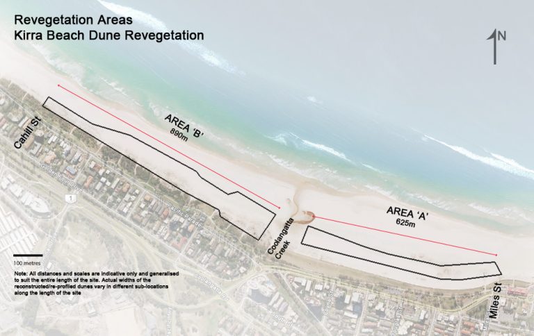 Kirra Beach Dune Revegetation, QLD - Living Shorelines Australia
